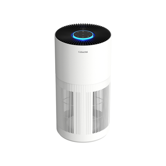 Buy High-Quality Air Purifiers | Cobectal USA Air Purifier Factory